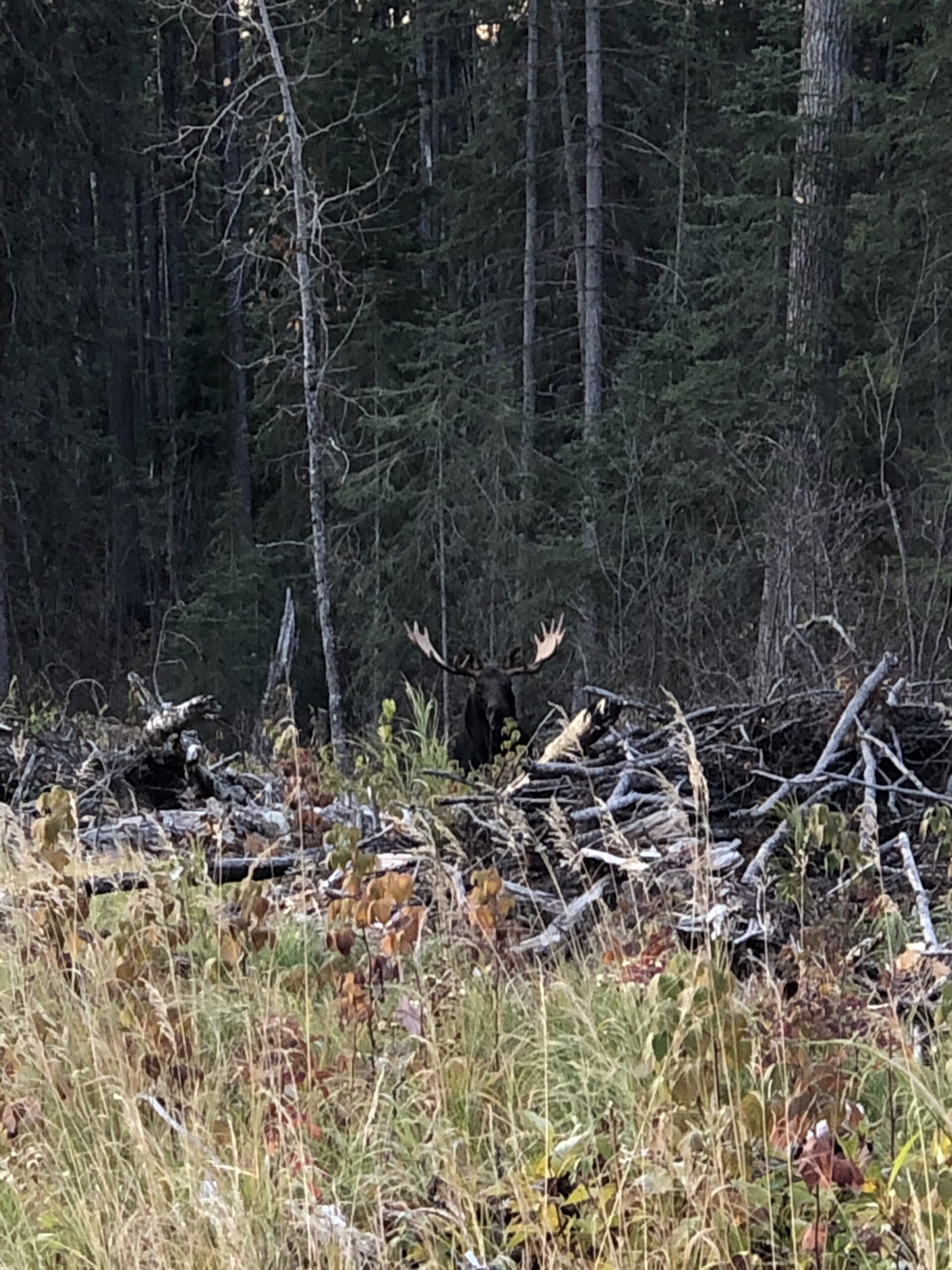 Canadian Rifleman – Taking back control of the ammo supply in Canada